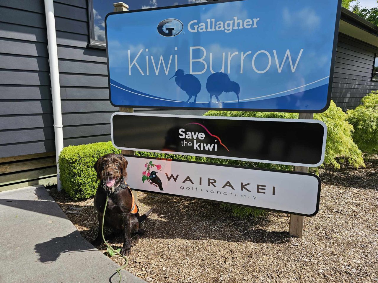 Sponsors - Save the Kiwi